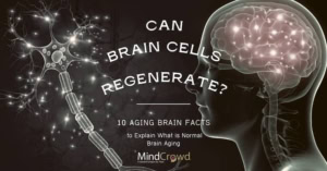 10 Aging Brain Facts: What Science Knows about Normal Brain Aging